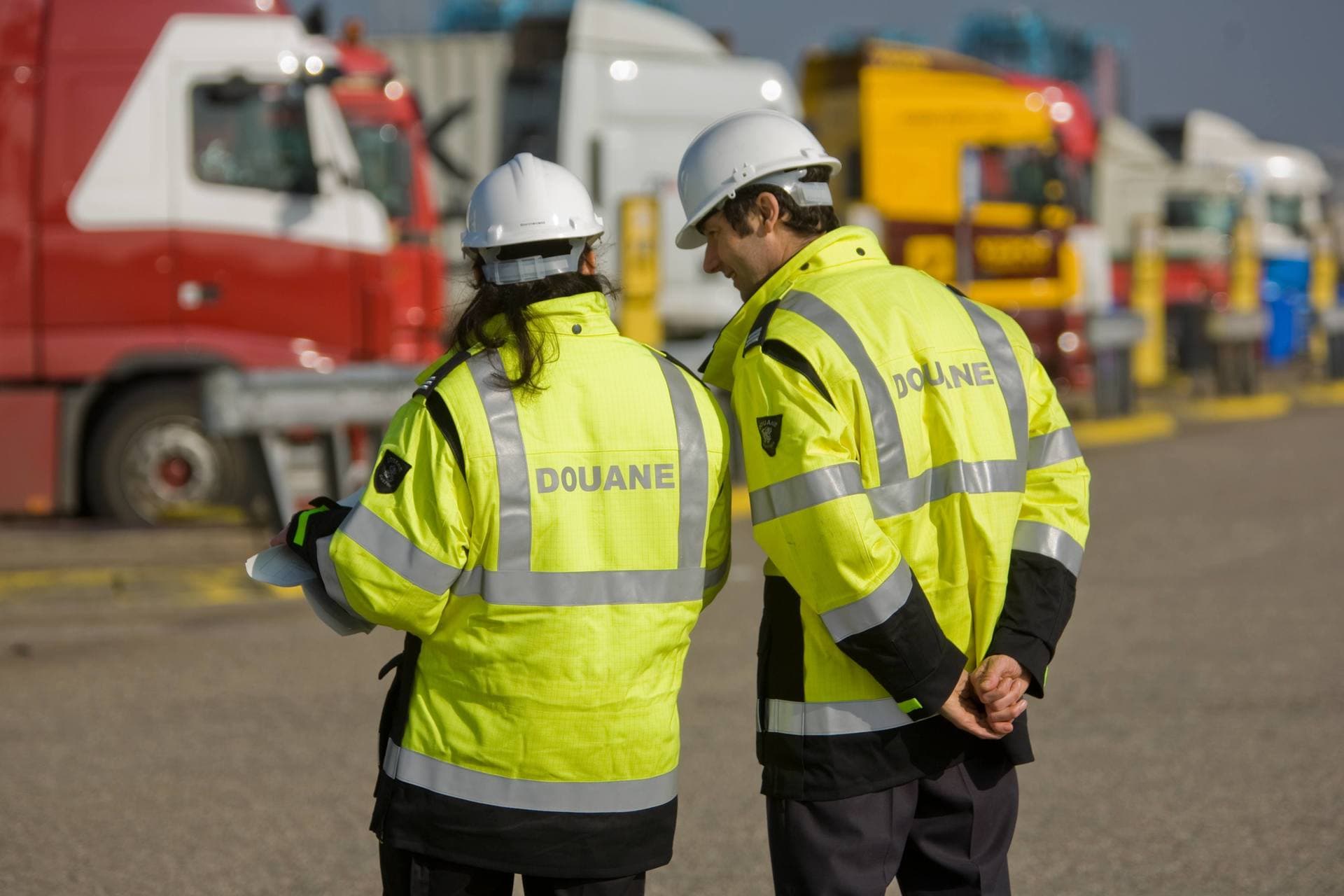 Customs Declaration System - Softpak – Integrated System for Logistics ...